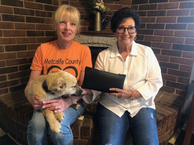 Paws Paws Masquerade Ball – Jobe for Kentucky