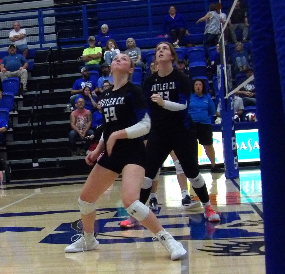 Lady Bears pick up two wins – Jobe for Kentucky